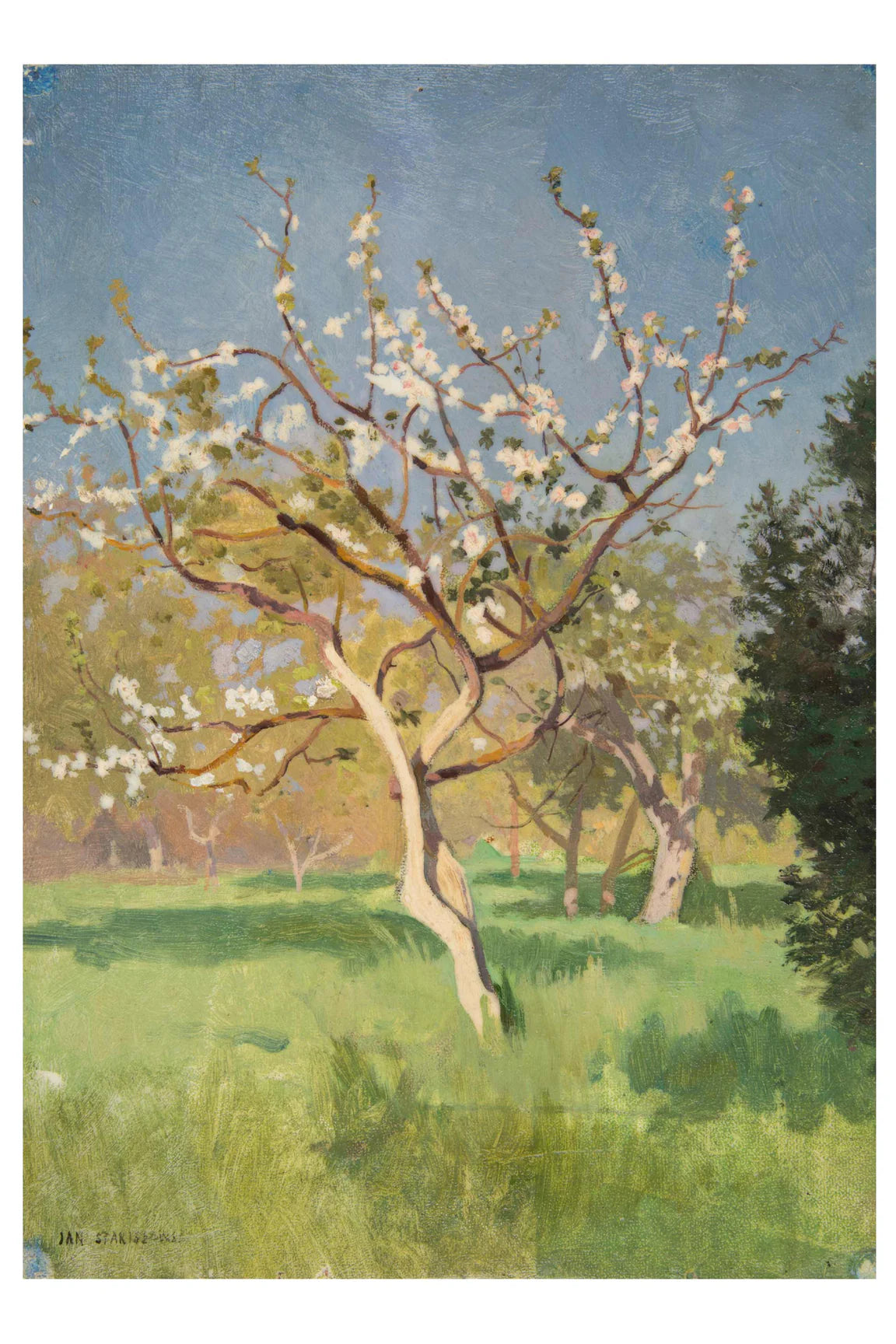 Art Print - Apple Tree– Butterscotch